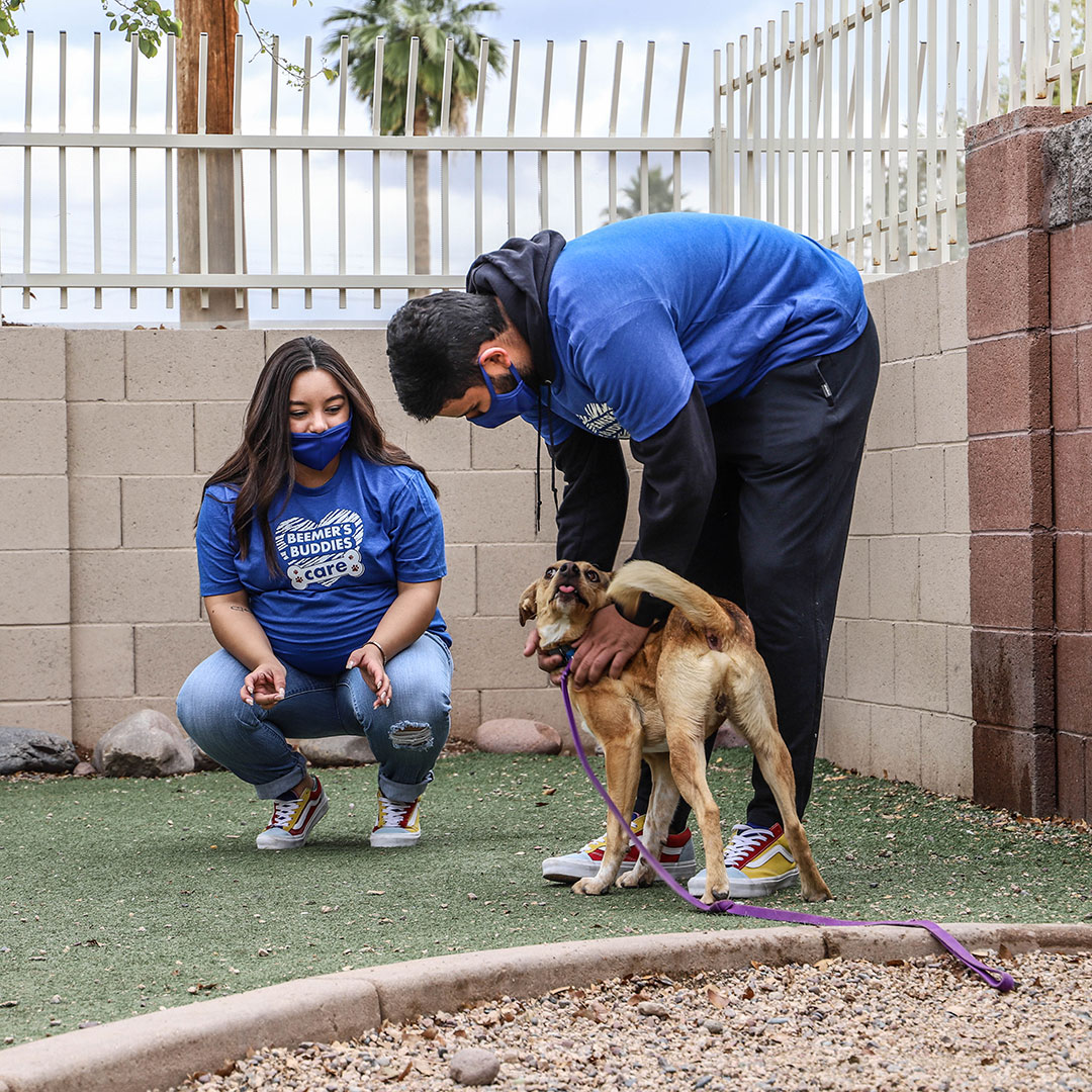 CHAPMAN BMW ON CAMELBACK - Phoenix AZ - Hours, Directions, Reviews ...