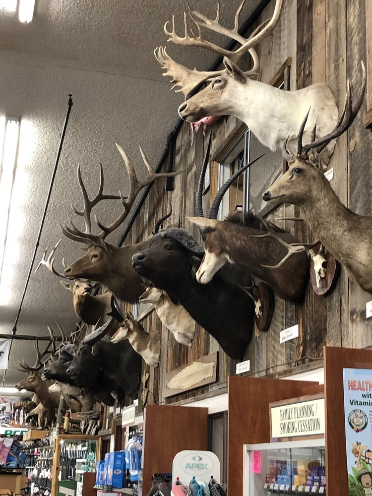 WESTERN DRUG & GENERAL STORE - Springerville AZ - Hours, Directions ...