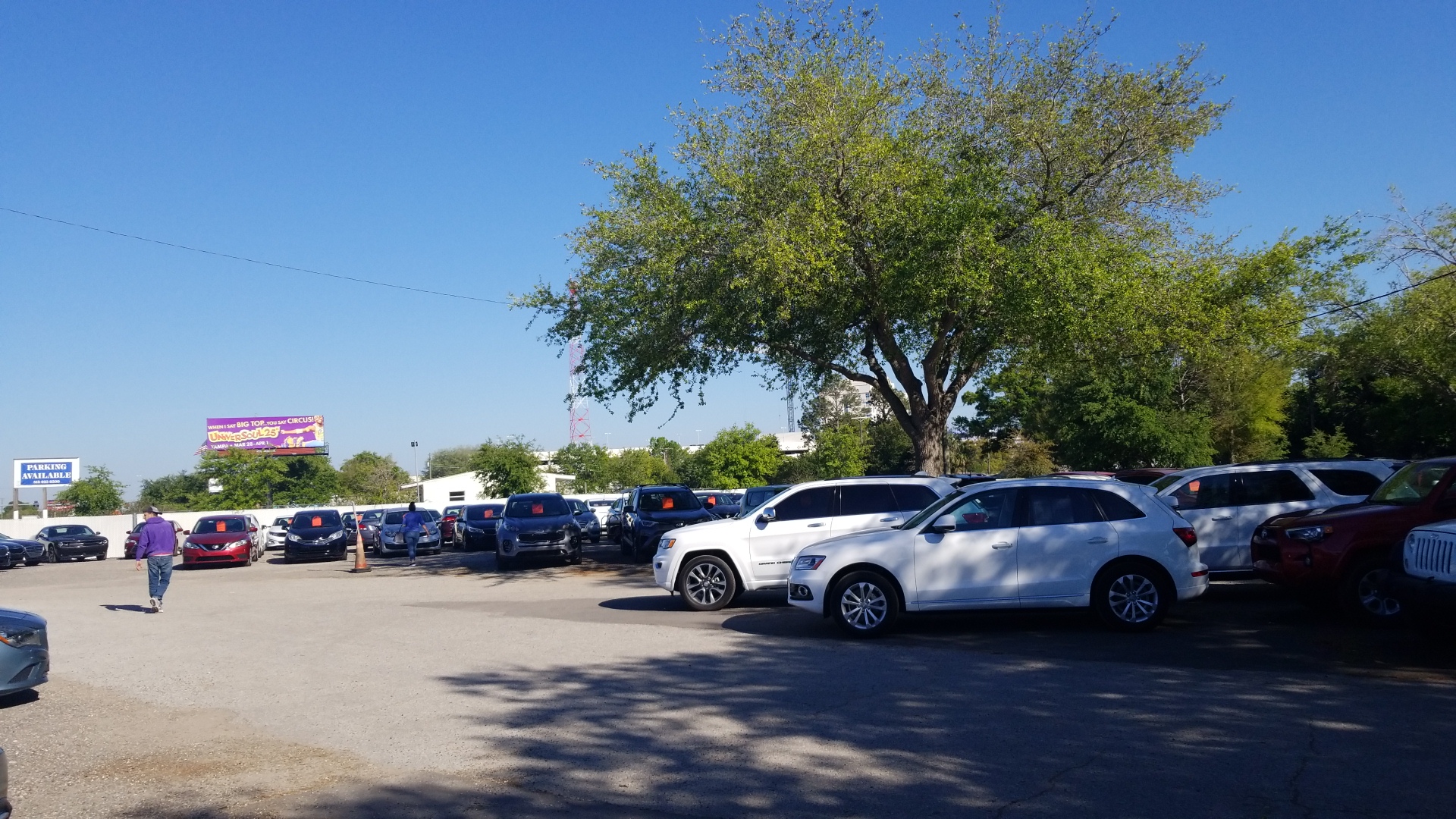 CU AUTO BRANCH - Tampa FL - Hours, Directions, Reviews - Loc8NearMe