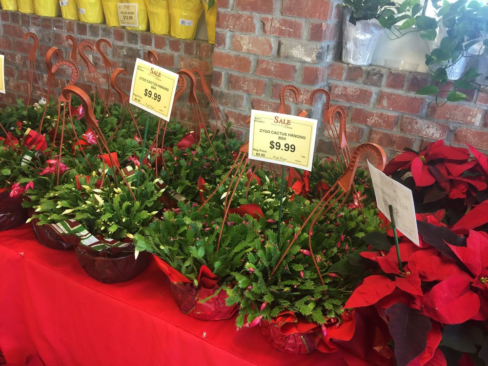 OAK POINT FRESH MARKET - Central LA - Hours, Directions, Reviews ...