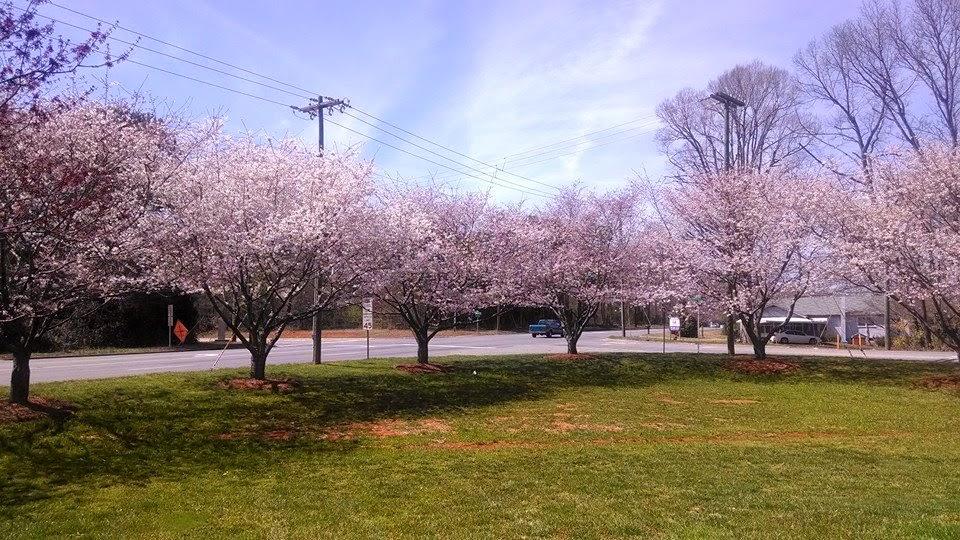 DICKSON ANIMAL CLINIC - Gastonia NC - Hours, Directions, Reviews ...