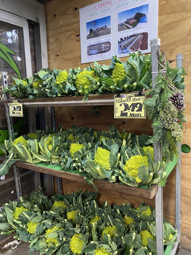 PAT'S FARMS - Merrick NY - Hours, Directions, Reviews - Loc8NearMe