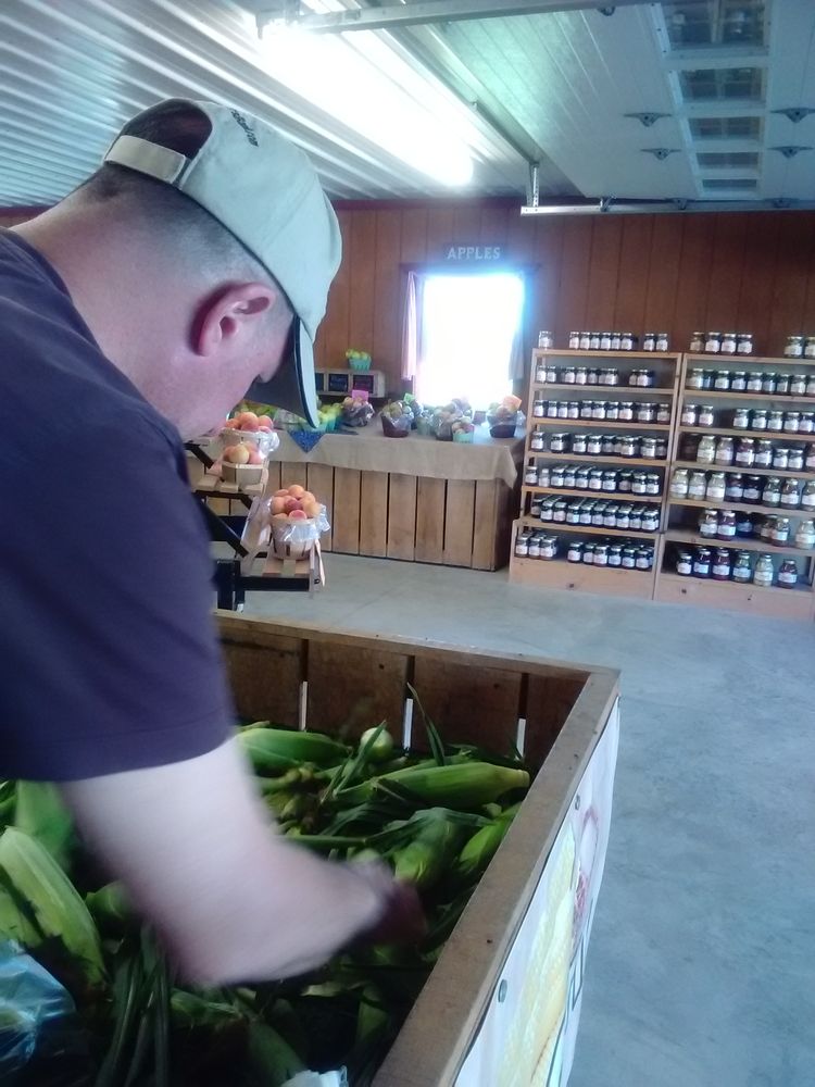 RHODES FARM MARKET - Columbiana OH - Hours, Directions, Reviews ...