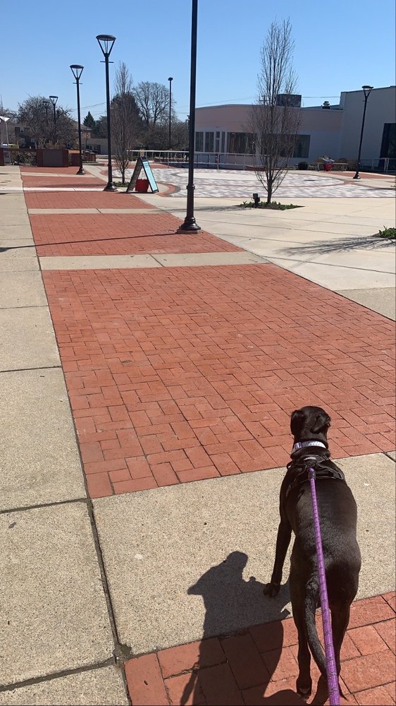 GARDEN CITY CENTER - Cranston RI - Hours, Directions, Reviews - Loc8NearMe