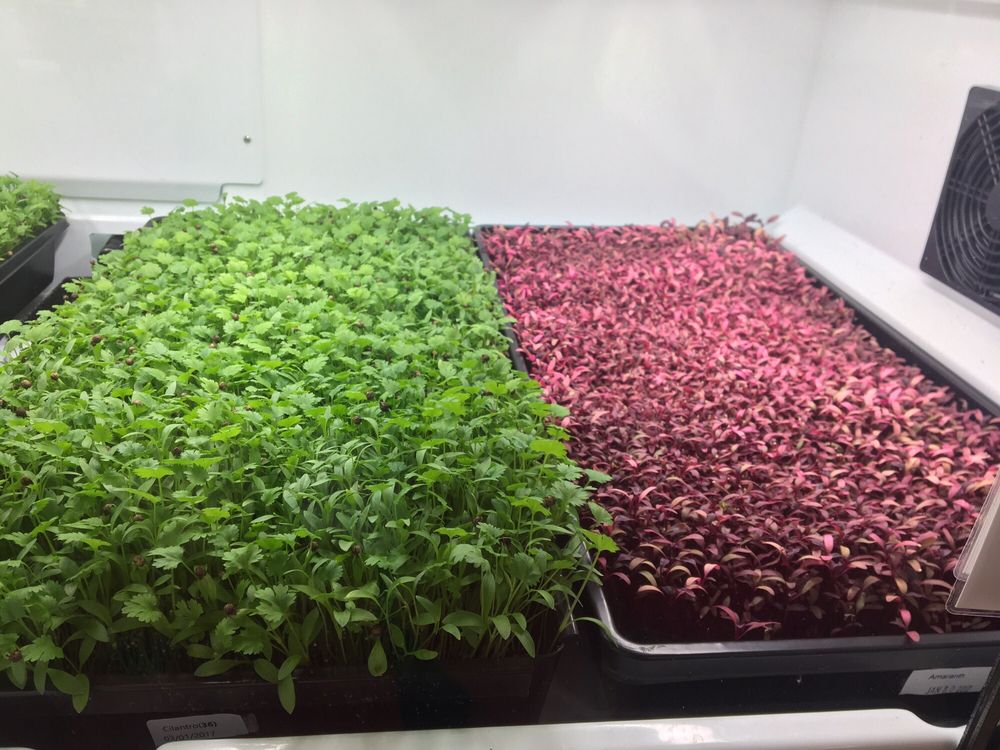 MICROSOFT BUILDING 36 - Redmond WA - Hours, Directions, Reviews ...