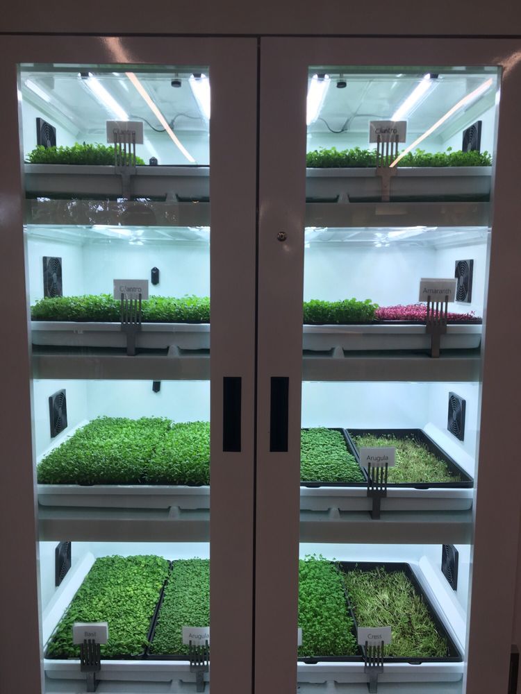 MICROSOFT BUILDING 36 - Redmond WA - Hours, Directions, Reviews ...