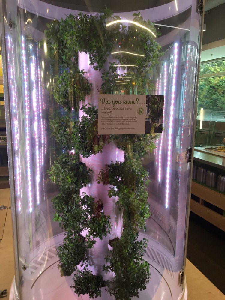 MICROSOFT BUILDING 36 - Redmond WA - Hours, Directions, Reviews ...